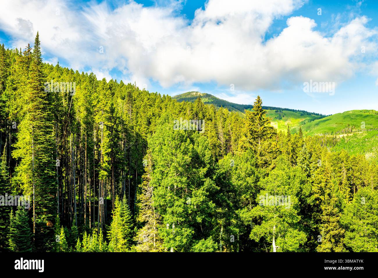 Beaver Creek, Colorado aerial high angle view of green lush pine spruce ...
