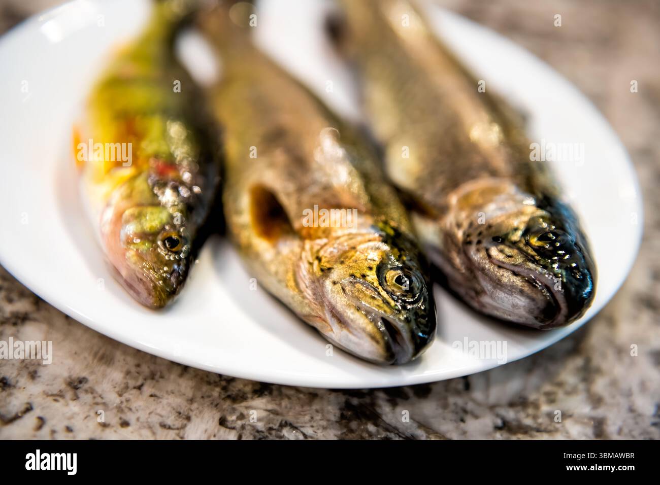 Three fish heads of rainbow trouts smallmouth bass closeup on white ...