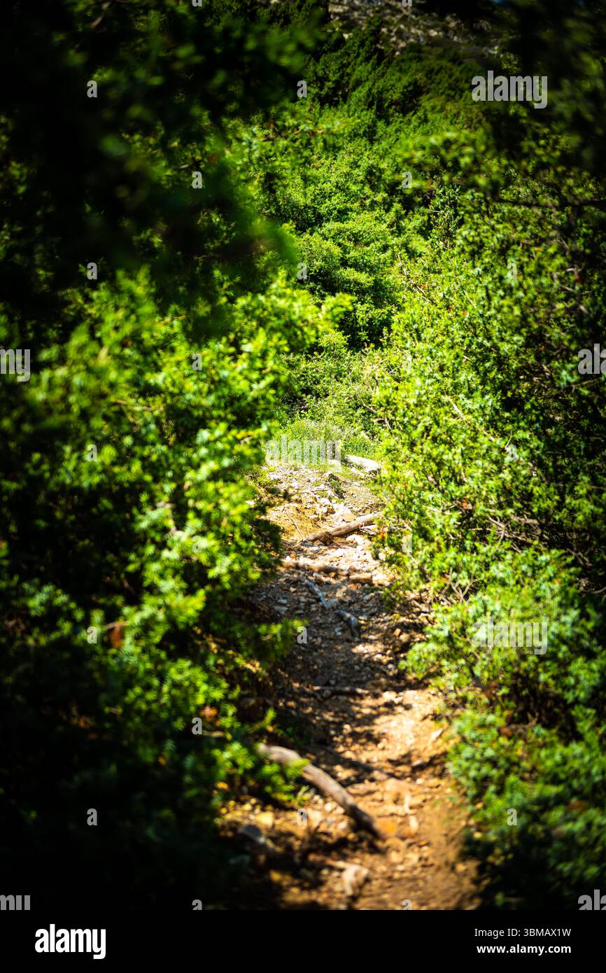 Ikaria island Greece empty trail footpath vertical view of silhouette ...