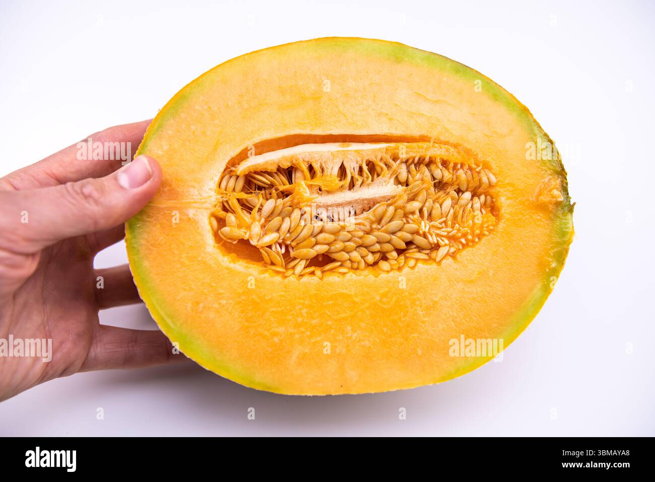 Cantaloupe muskmelon sol glow melon one vibrant colorful yellow half ...