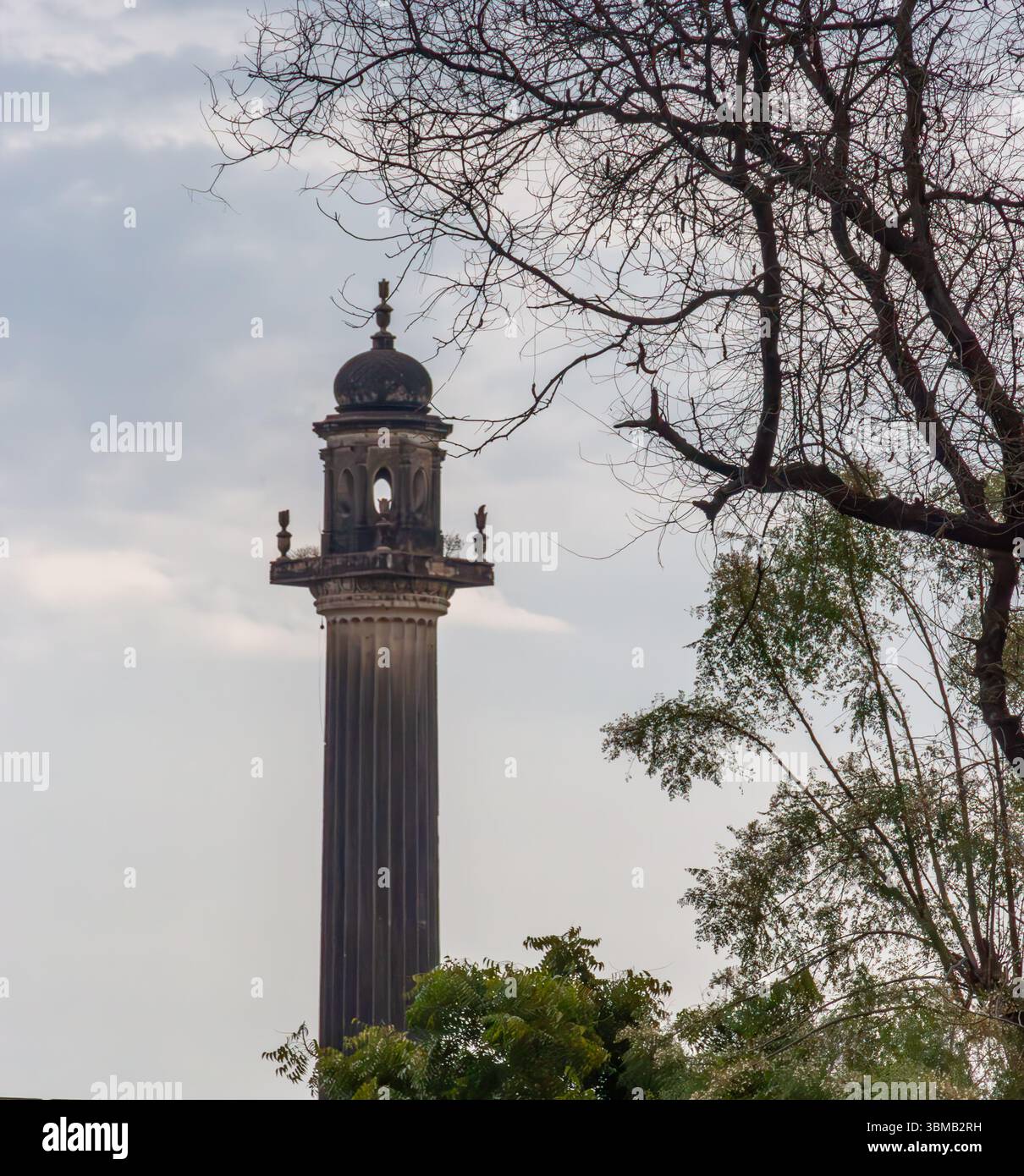 Classical Pillar Through Tree Branches Stock Photo - Alamy