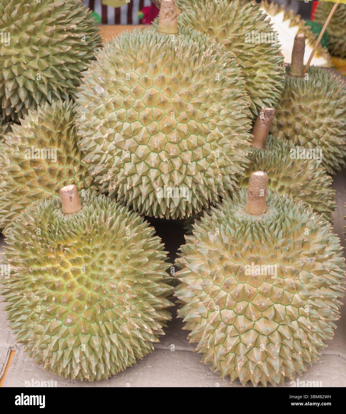 Close-up of durian or Durio zibethinus pile. Popular Southeast Asia ...