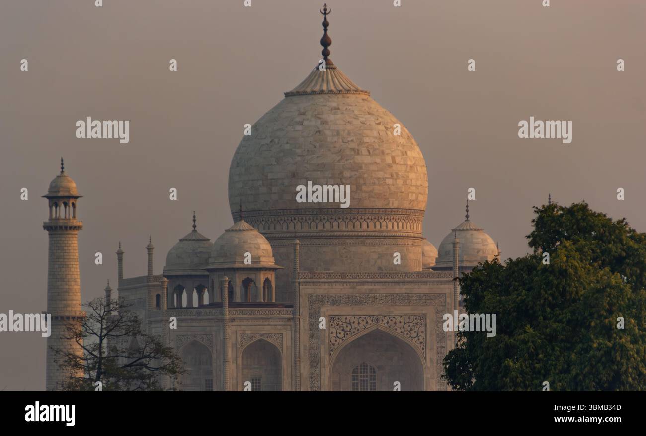 Taj Mahal Dome at Dawn Stock Photo - Alamy