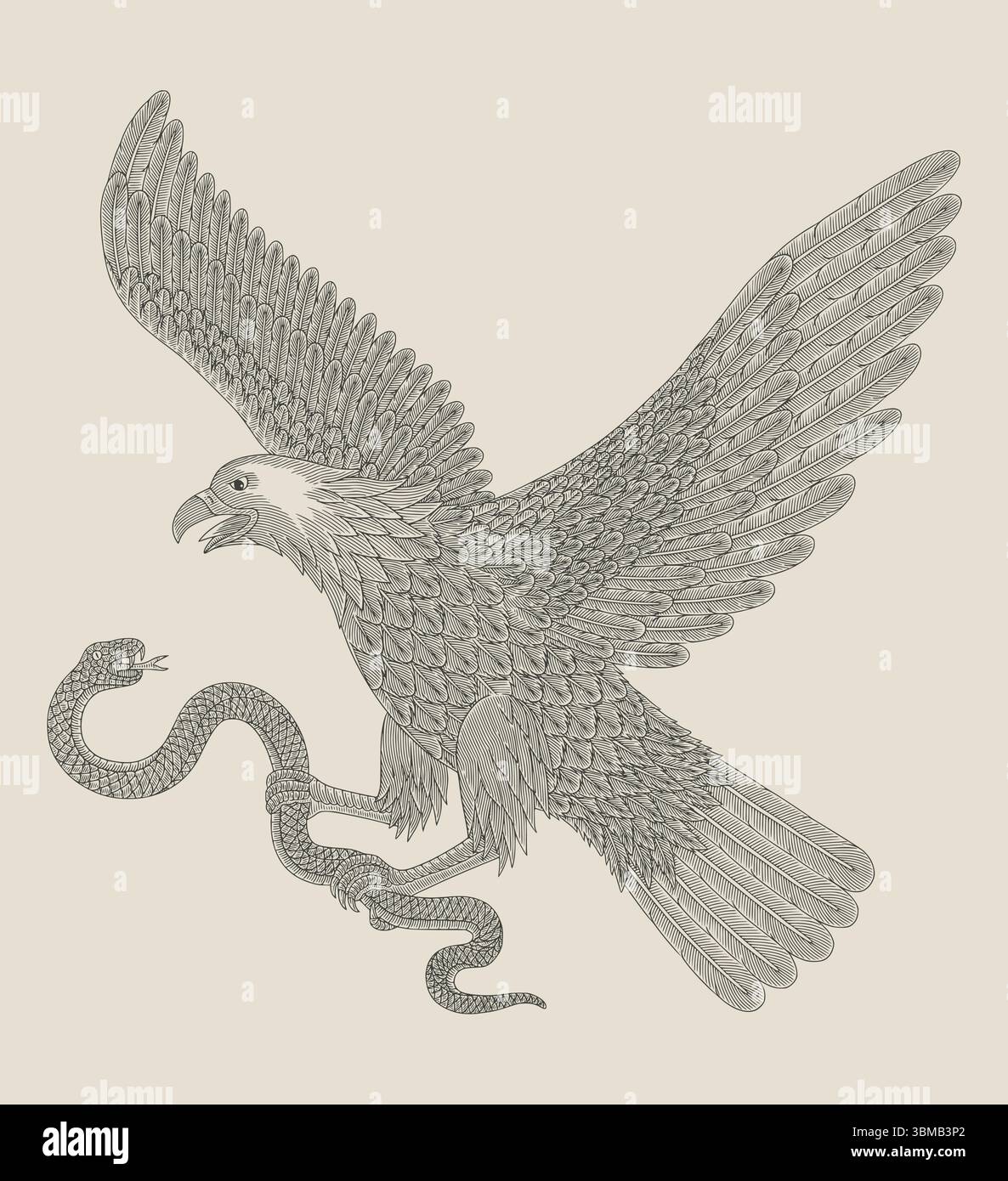 Eagle snake in claws hi-res stock photography and images - Alamy