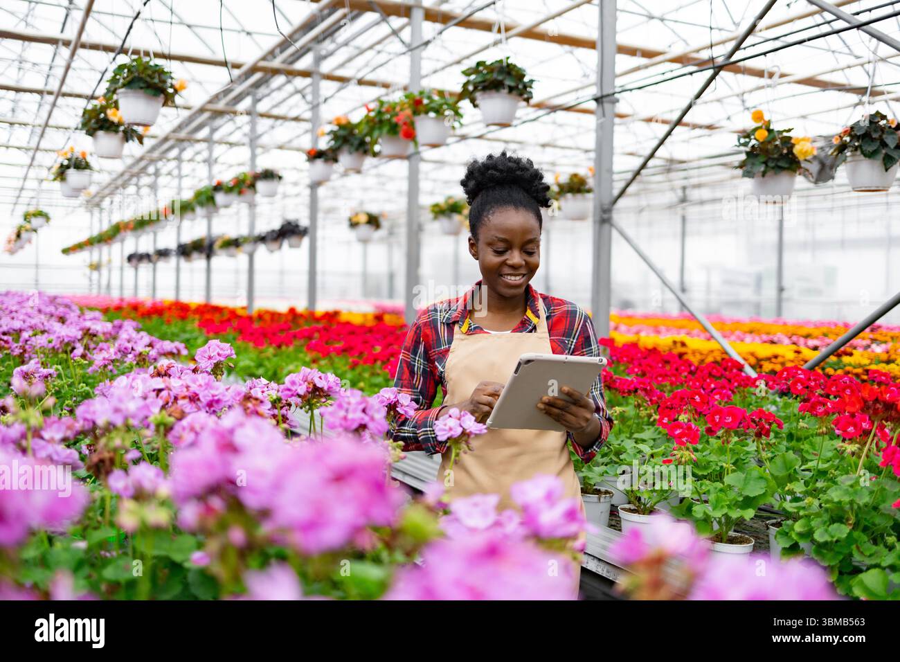 African american woman inspecting plants hi-res stock photography and ...