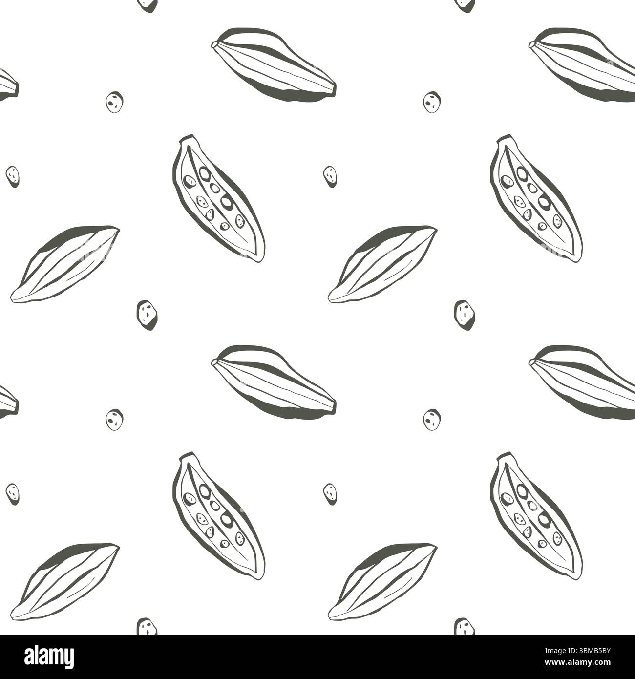 Light green seed pods Stock Vector Images - Alamy