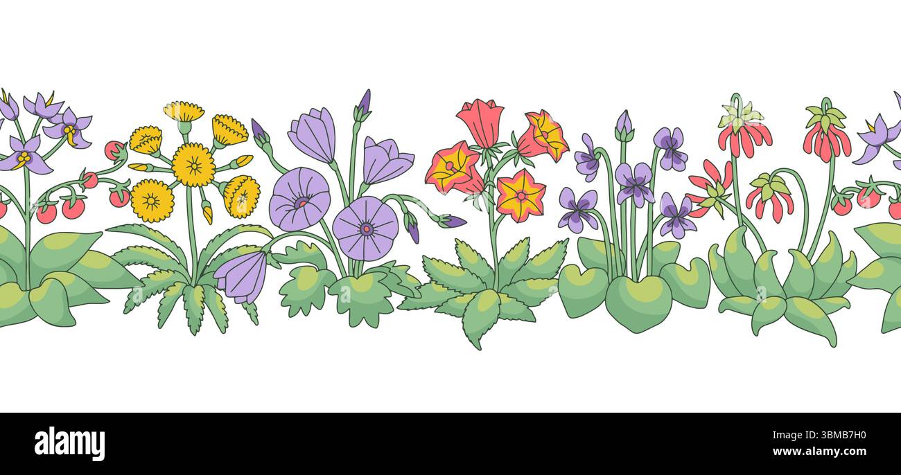 Stripe pattern with line art canary islands flowers. Floral horizontal ...