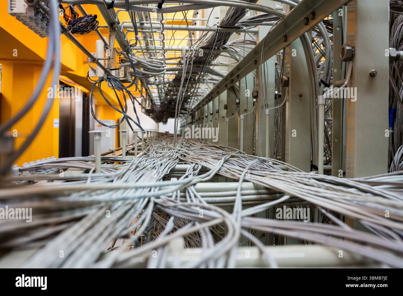 Dense grey network cables are weaving through metal cable trays in flat ...
