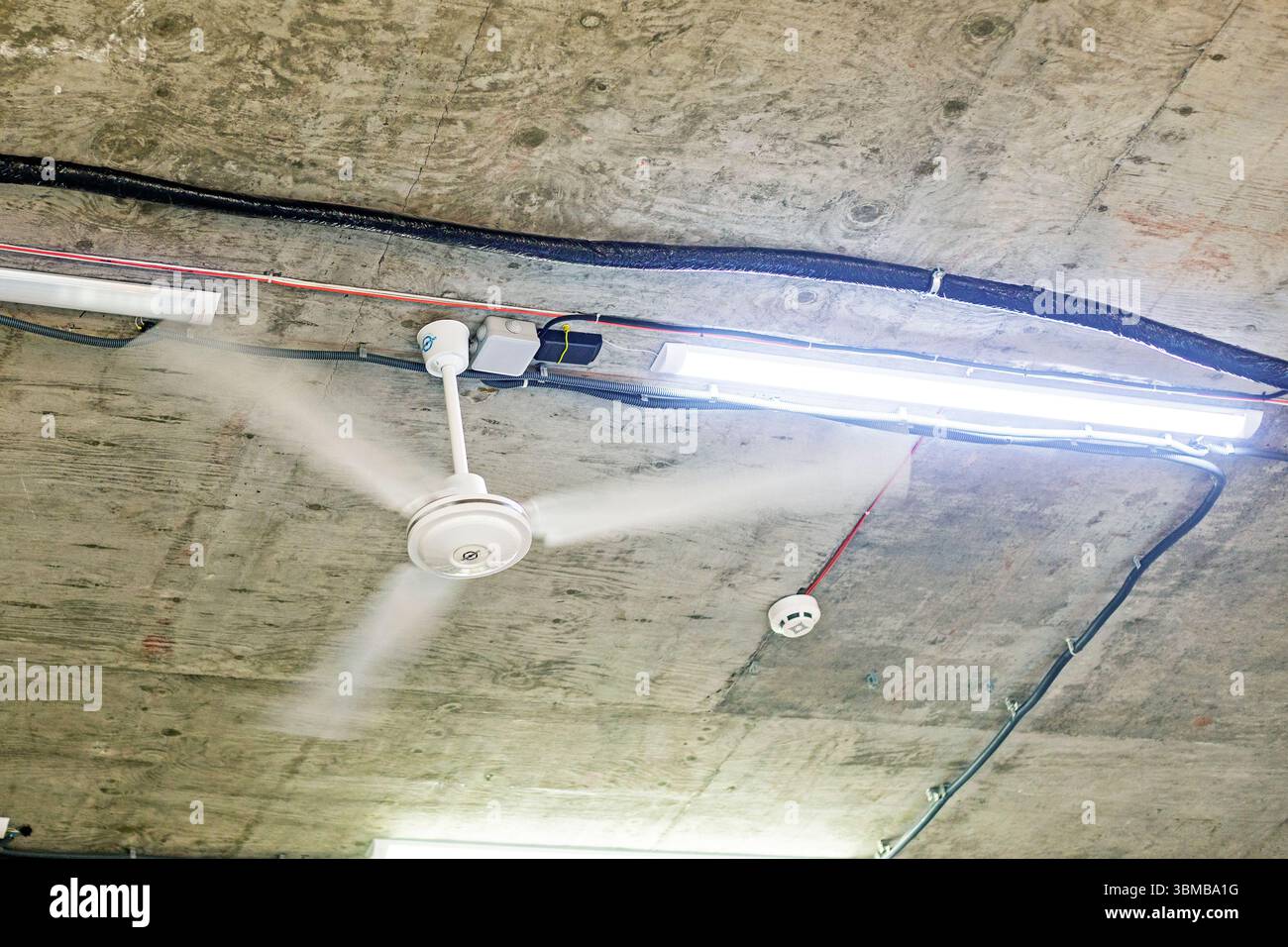 Exposed fans hi-res stock photography and images - Alamy