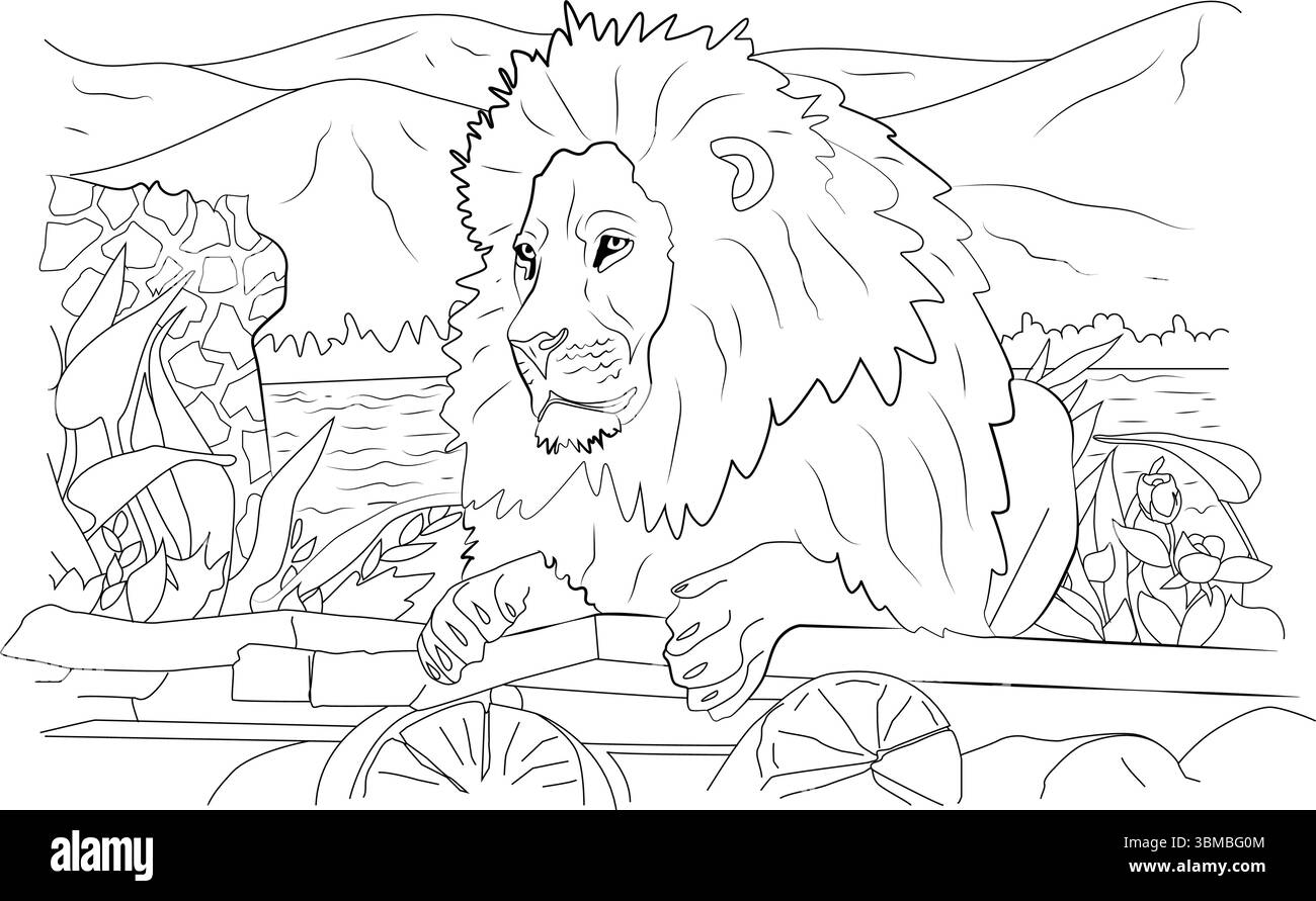 Detailed black and white line art illustration of a majestic male lion ...