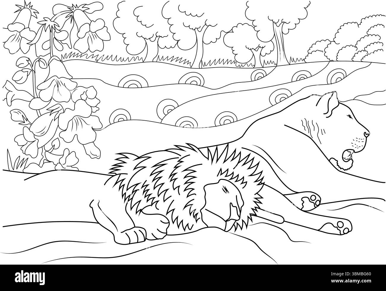 Black and white line art illustration of two lions, a male and a female ...