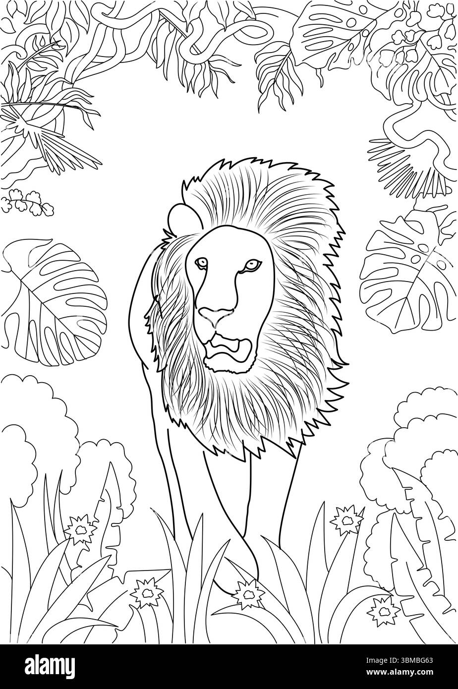 Animal vines Black and White Stock Photos & Images - Alamy