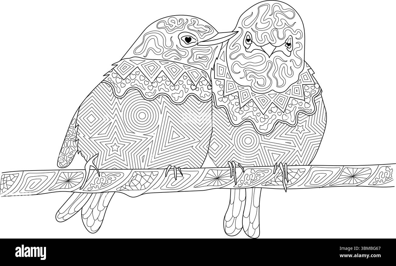 Detailed black and white line art illustration depicting two birds ...