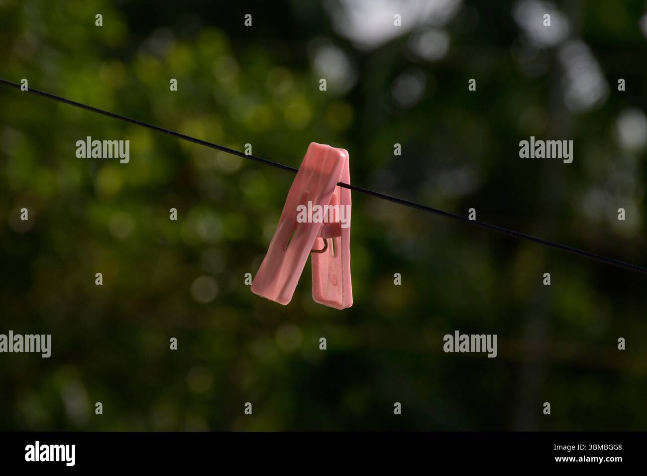 A solitary translucent pink plastic clothespin clips onto a taut dark ...