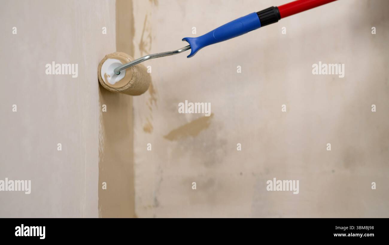 Professional painter dipping paint roller into tray, carefully applying ...