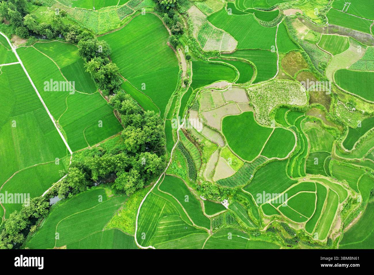 Aerial photo shows the rural scenery in Youyang County, Chongqing ...
