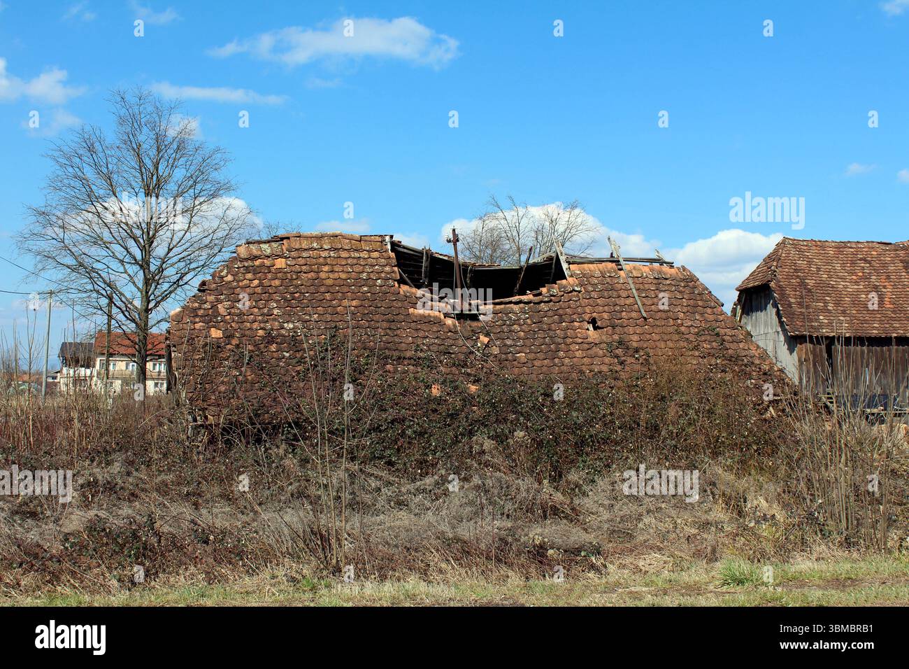 Old rural building with a collapsed red tile roof and overgrown ...