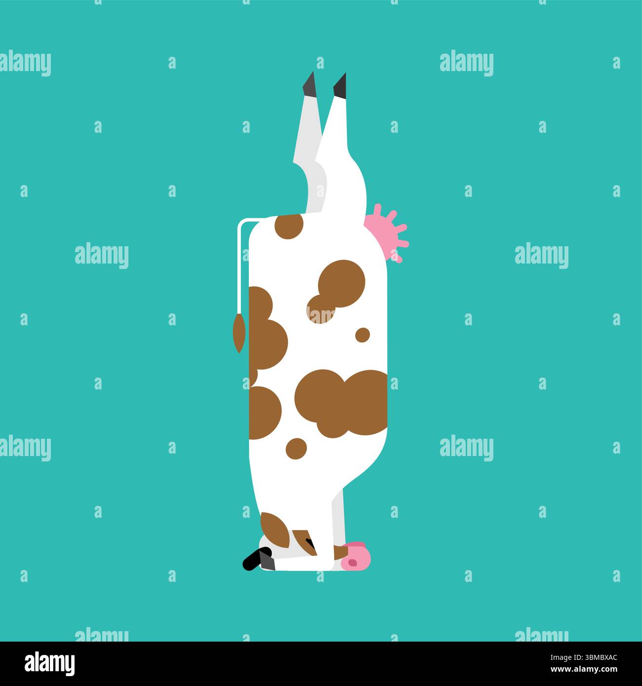 Cow yoga. Rural yogi. Cows doing relaxing gymnastics. Cattle relax ...