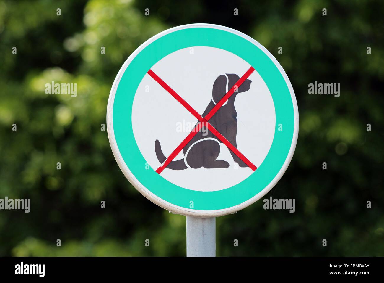 Circular sign with a black dog silhouette crossed out by a red X ...