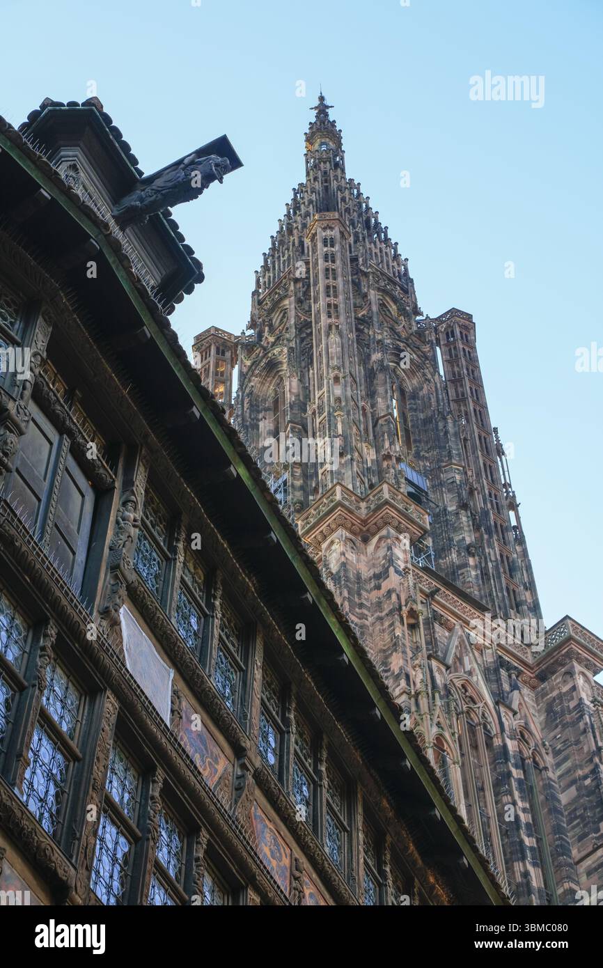 Tower of Notre-Dame Cathedral, half-timbered house Maison Kammerzell ...