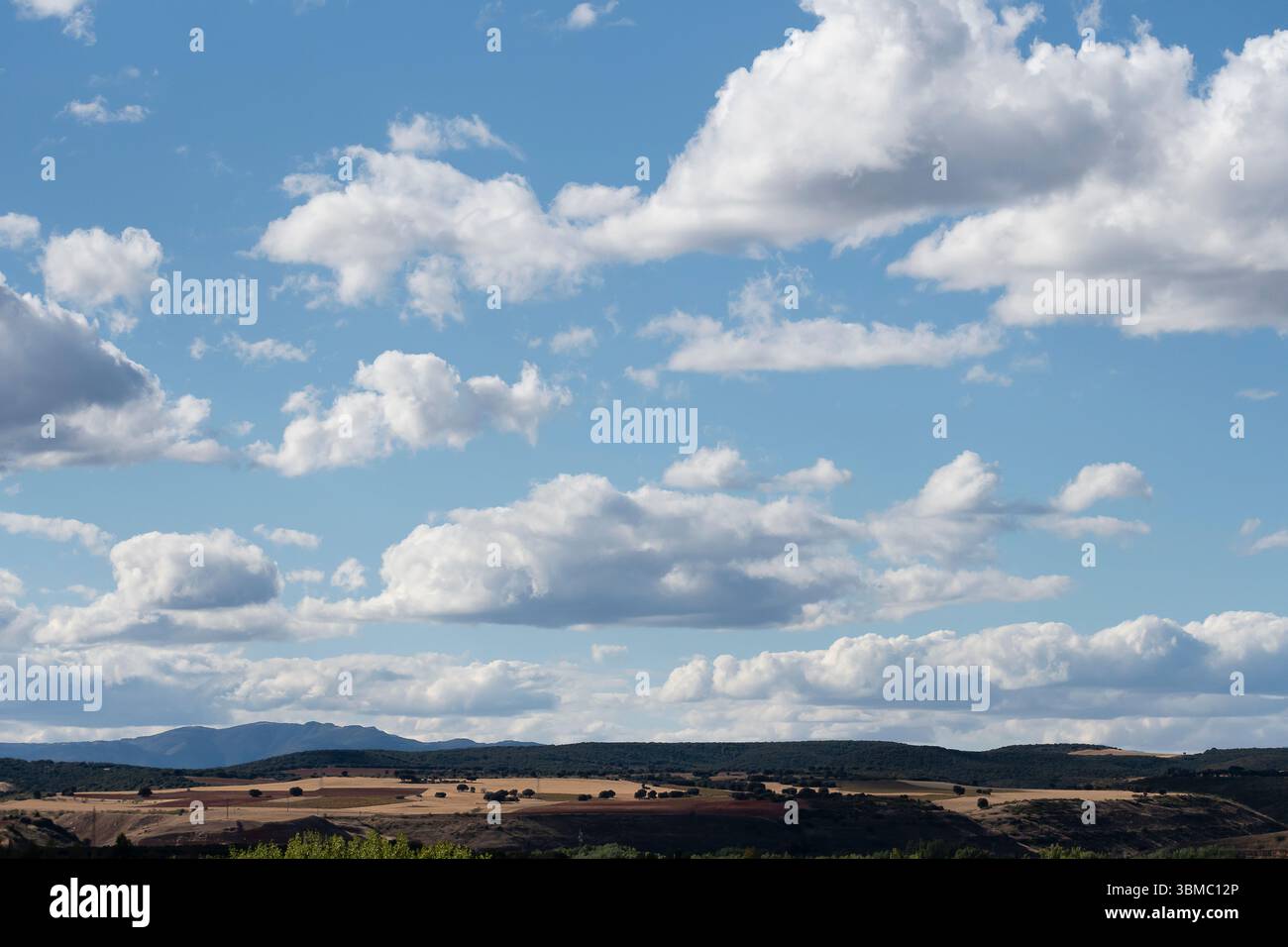 A vast sky filled with fluffy white clouds overlooks gentle hills and ...