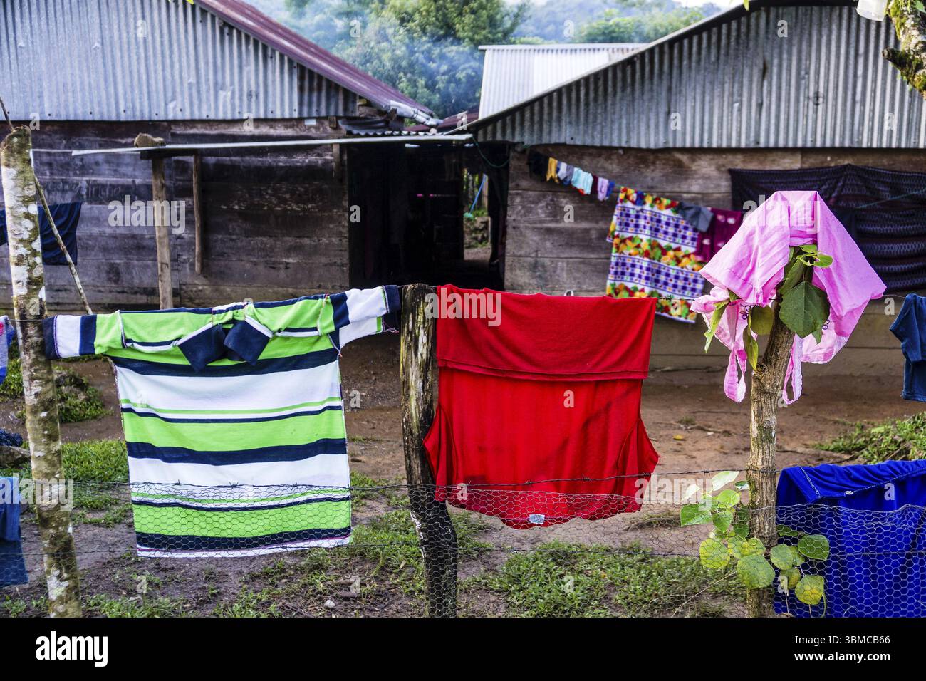 Clothes drying, Lancetillo, La Parroquia, Reyna area, Quiche, Guatemala ...
