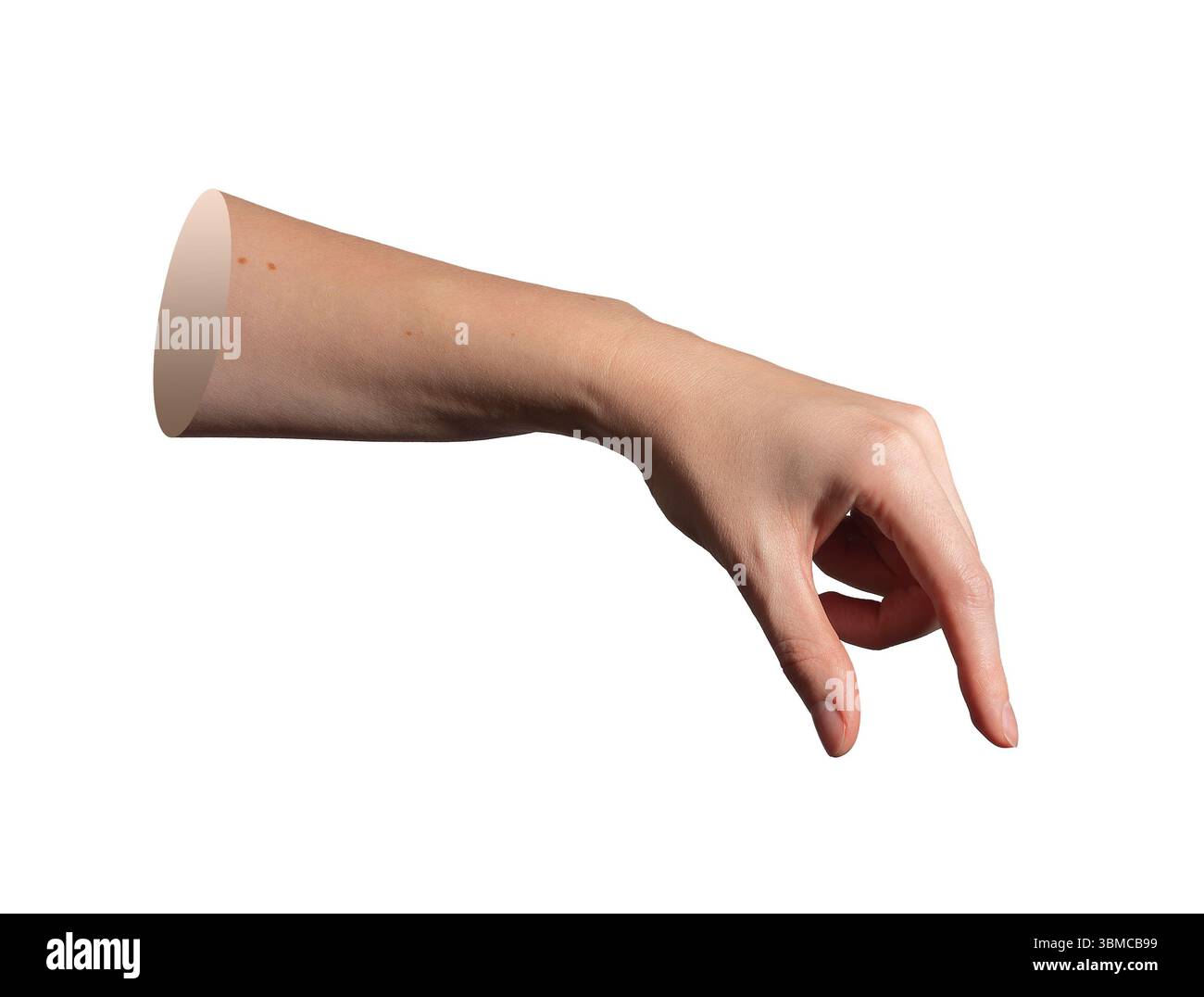 Hand shown holding small Cut Out Stock Images & Pictures - Alamy