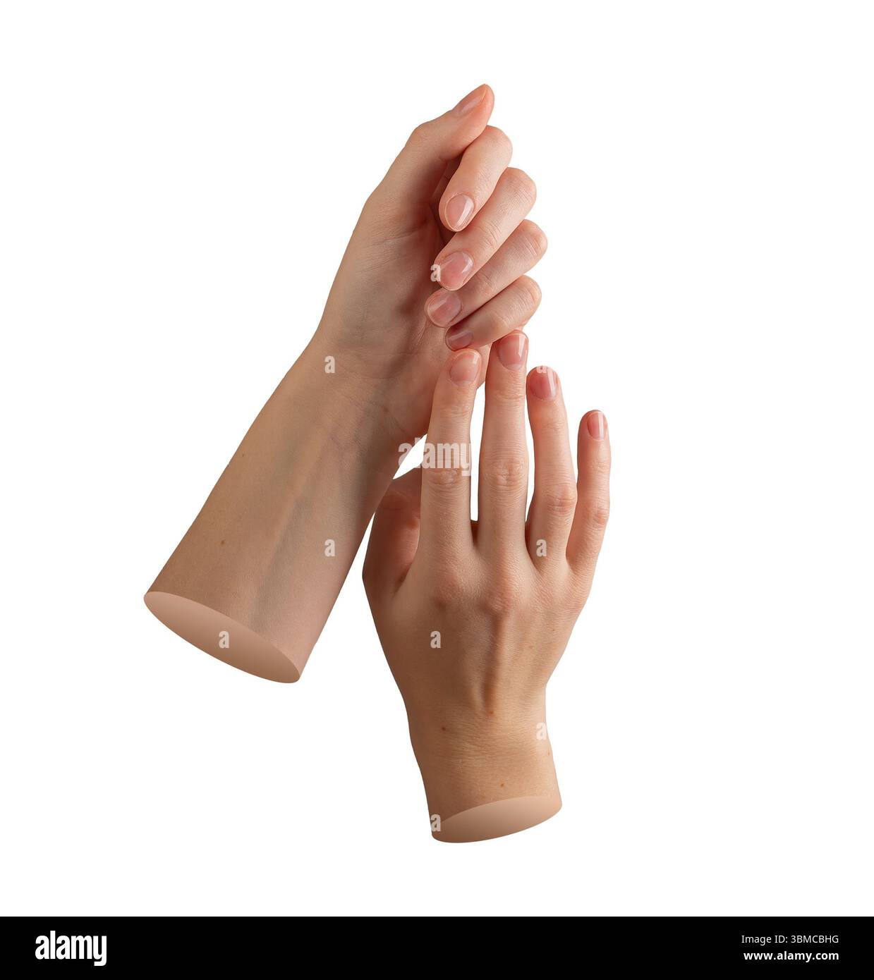 Two hands touching delicate Cut Out Stock Images & Pictures - Alamy
