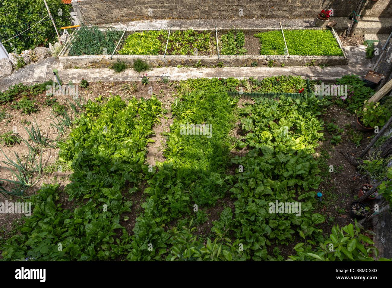 Plants on small island in hi-res stock photography and images - Alamy