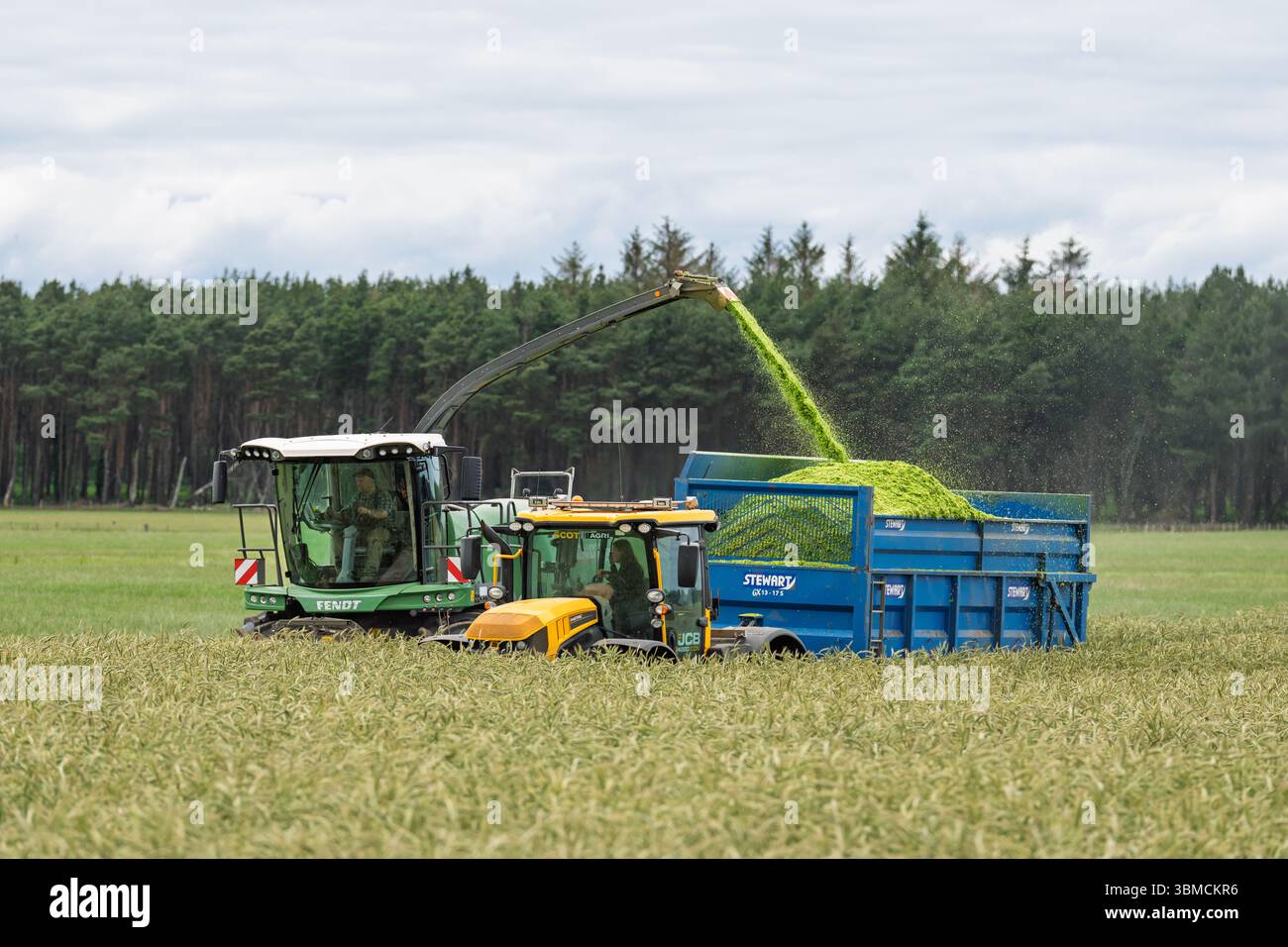 25 June 2025. Roseisle,Moray,Scotland. This is a Fendt Harvester ...