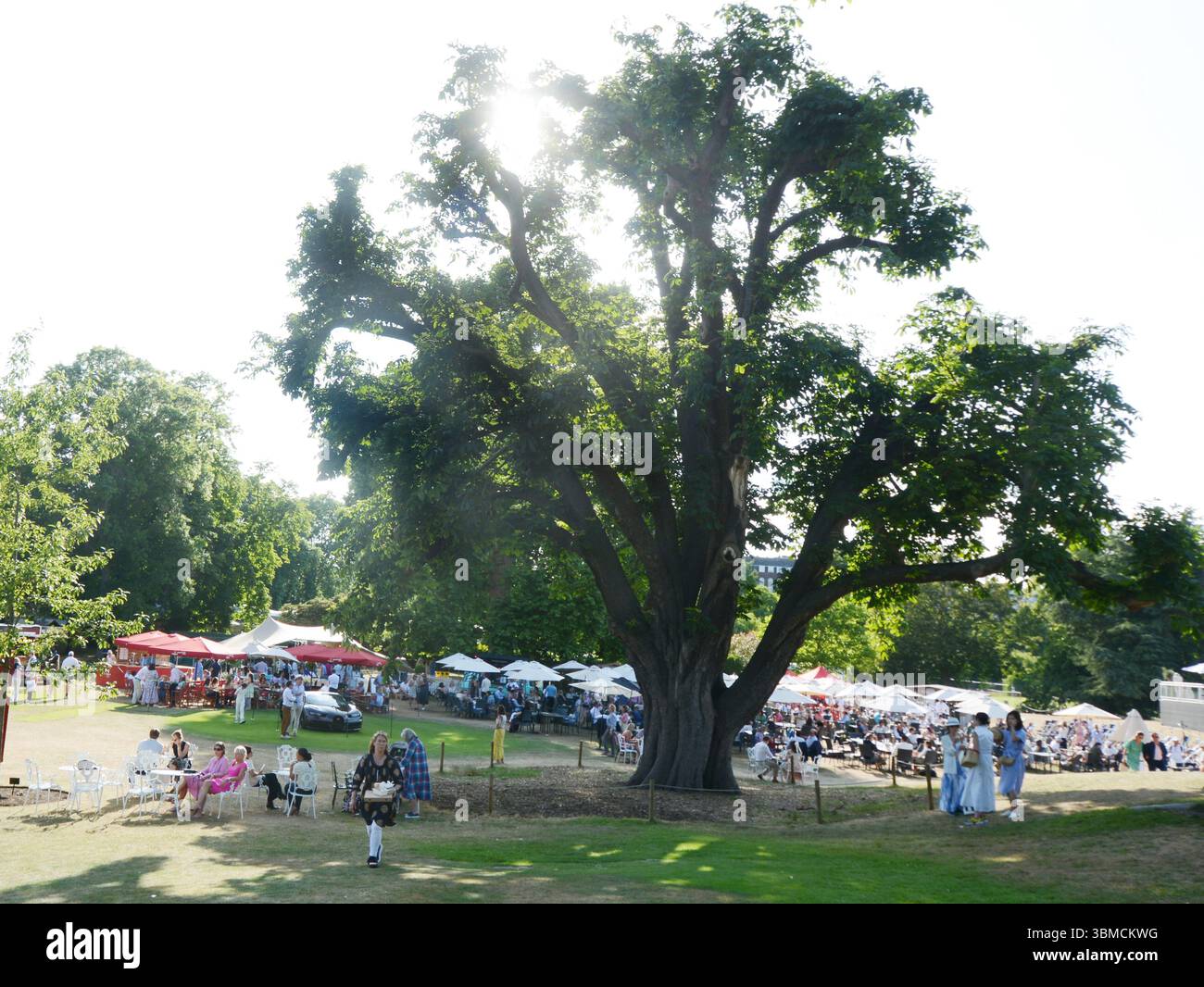 Views around the clubs grounds hi-res stock photography and images - Alamy