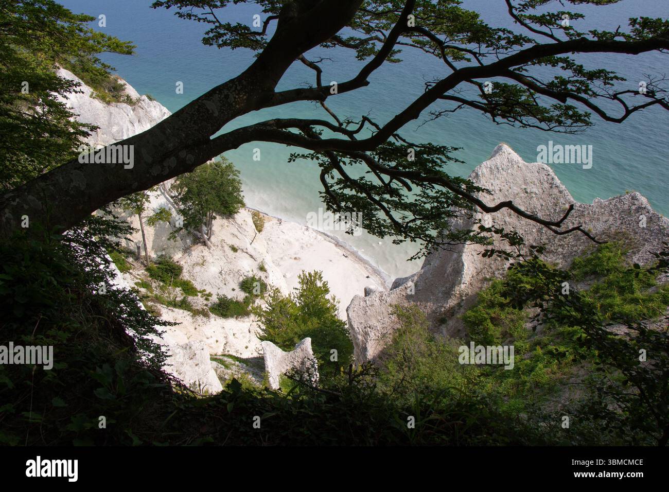 Overhanging tree hi-res stock photography and images - Alamy