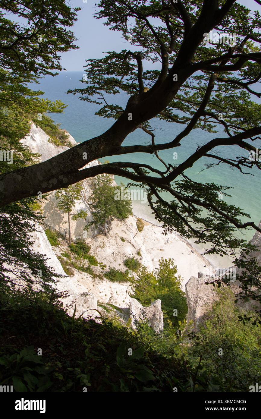 Overhanging tree hi-res stock photography and images - Alamy