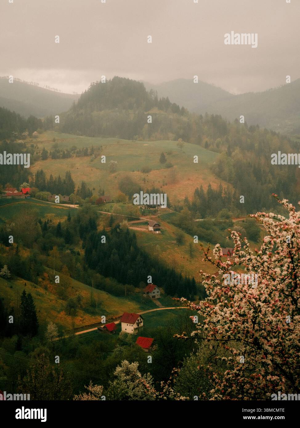View village landscape blooming hi-res stock photography and images - Alamy