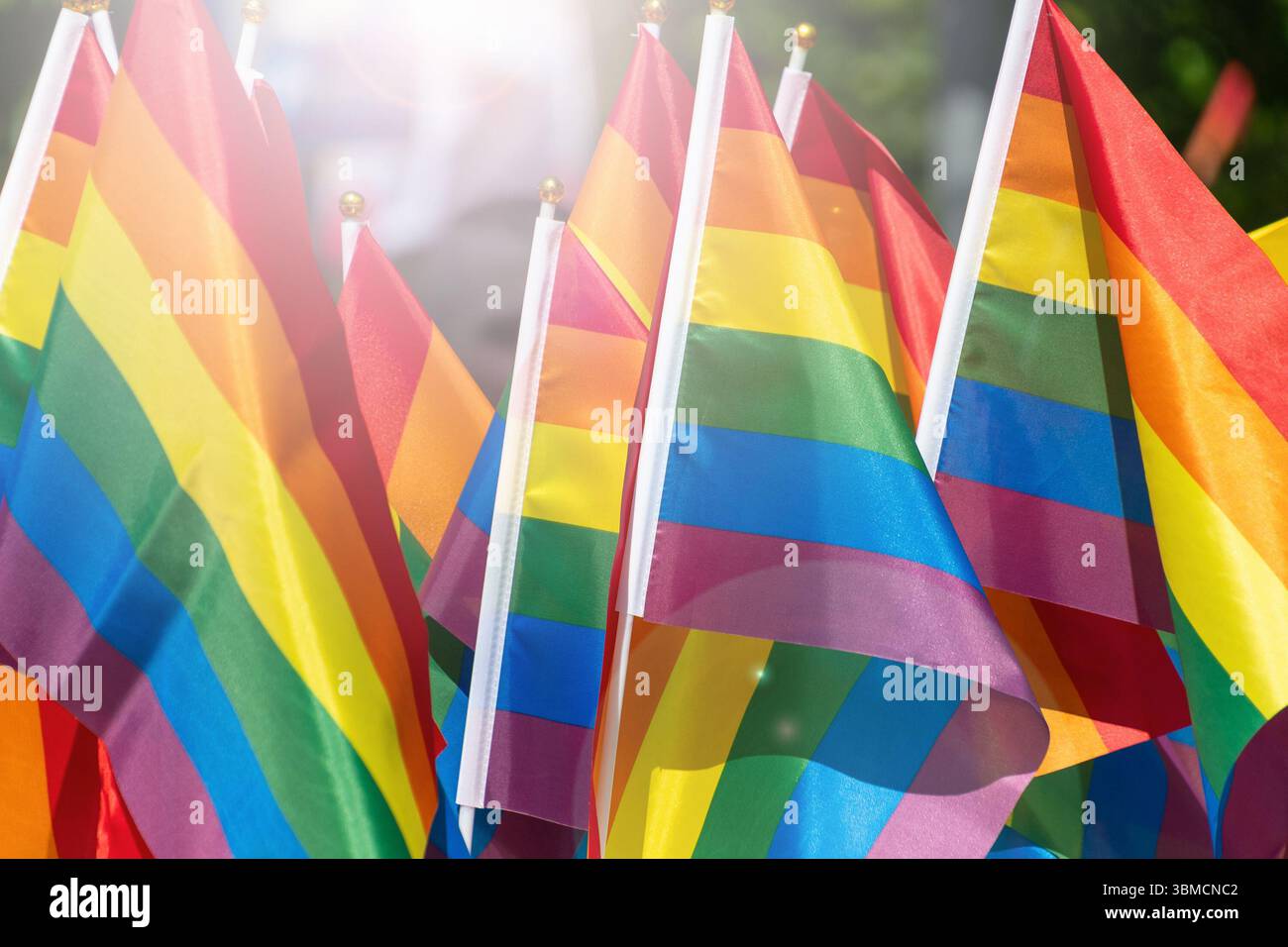 Colorful pride flags waving in sunlight celebrating lgbtq+ diversity ...