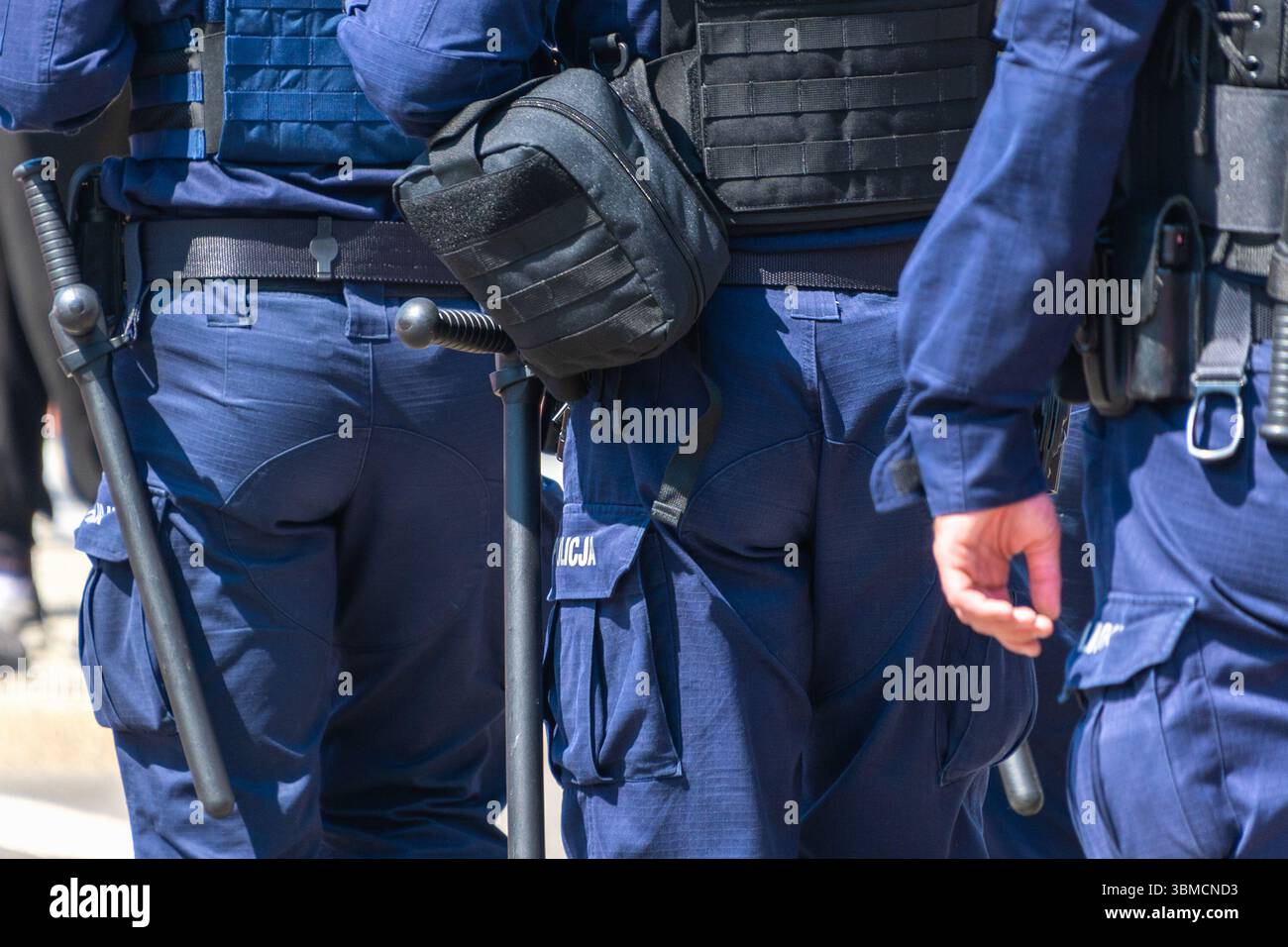 Rear view of male police officers in uniform at public event Stock ...