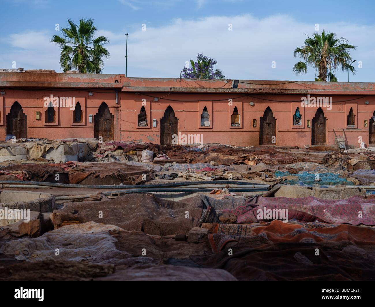 Morocco, Marrakesh, 15 Jun 2025. View of the traditional tanneries in ...