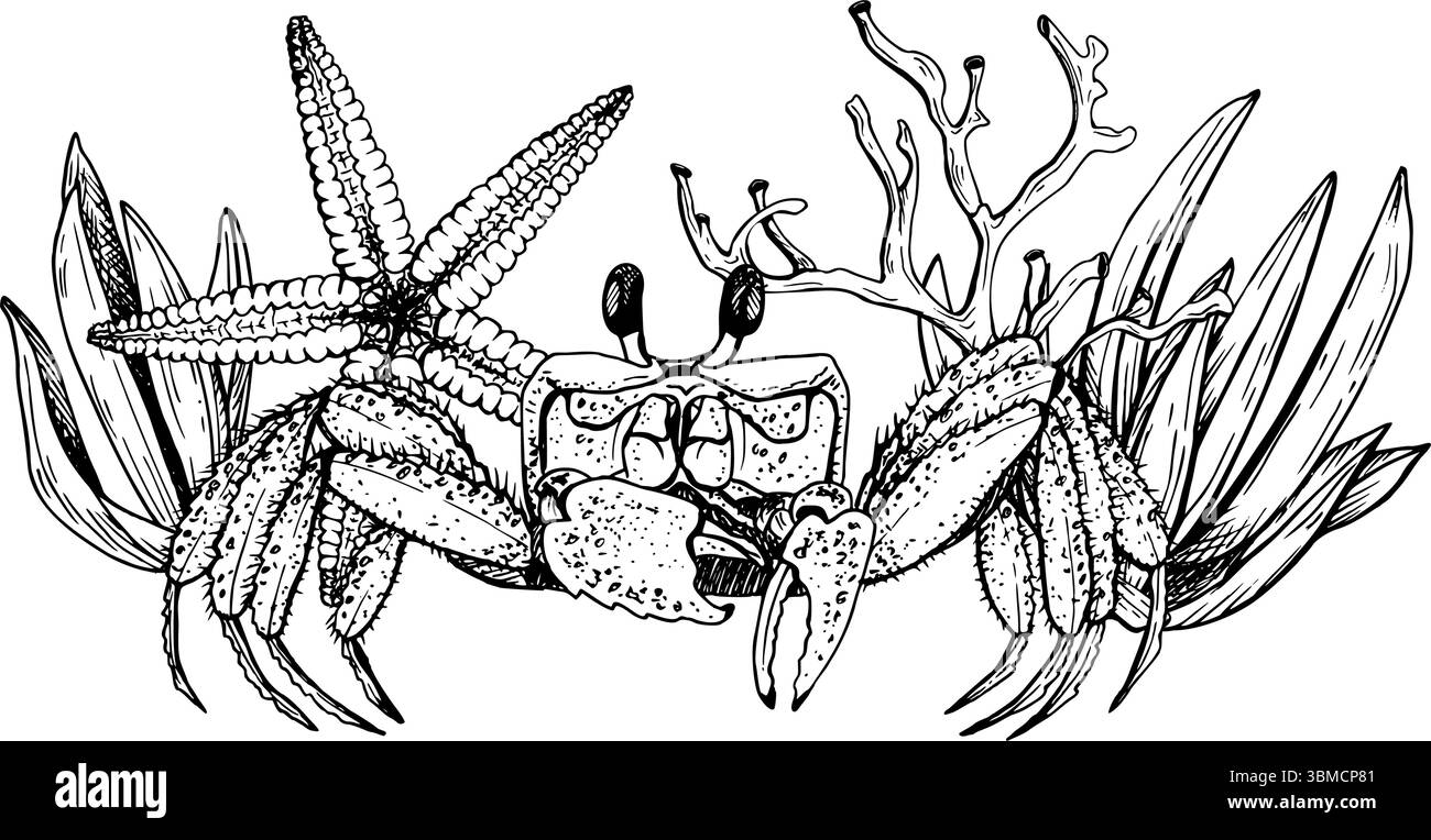 Lively elements Black and White Stock Photos & Images - Alamy