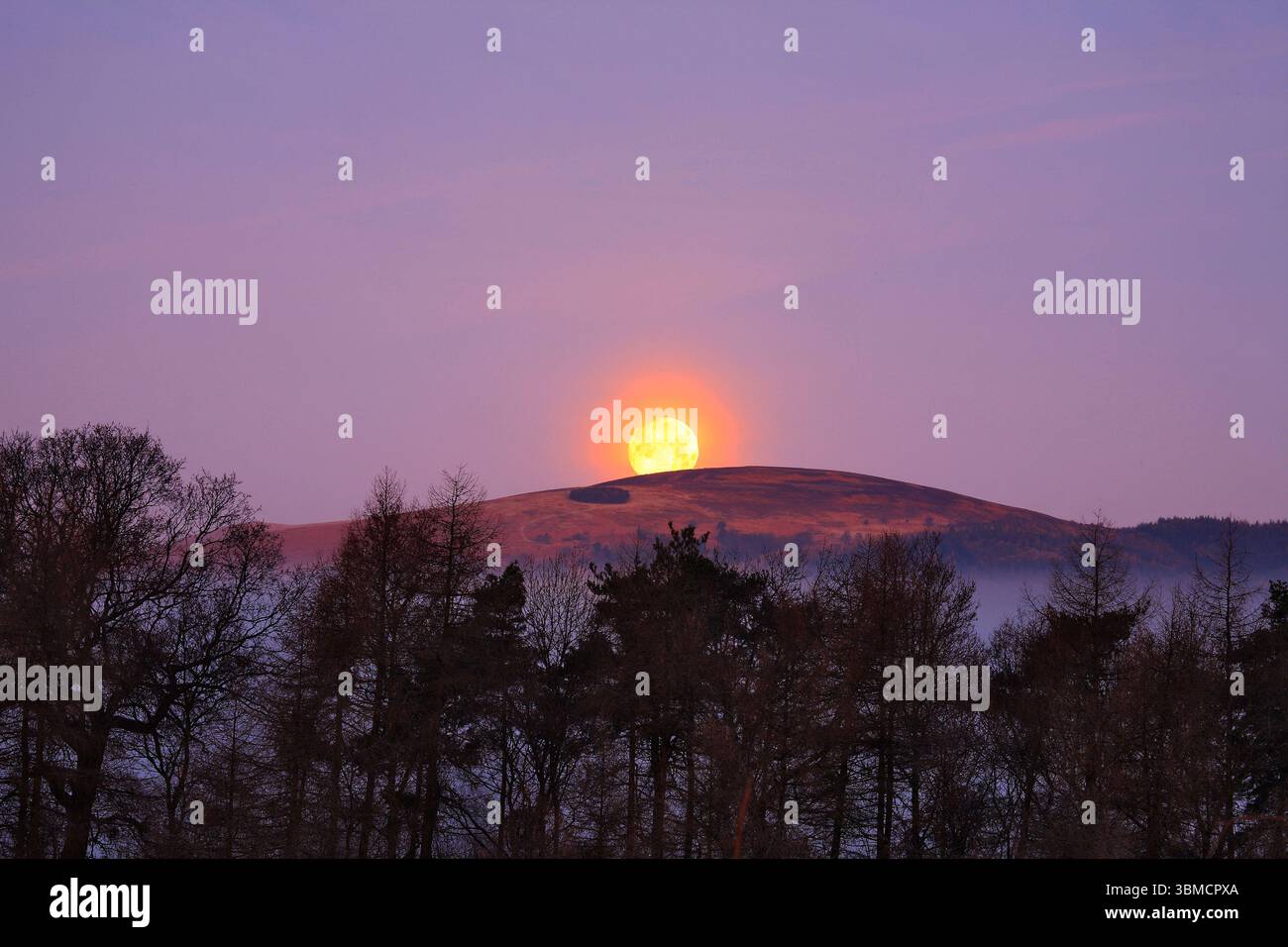 Dance mist dawn behind trees hi-res stock photography and images - Alamy
