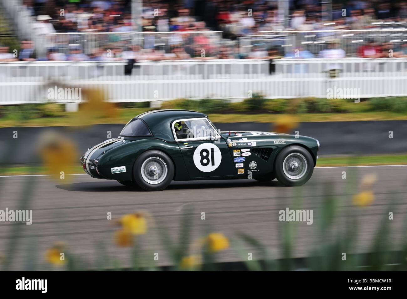 Joseph Willmott, Austin-Healey 3000 Mk I, Moss Trophy, a twenty minute ...