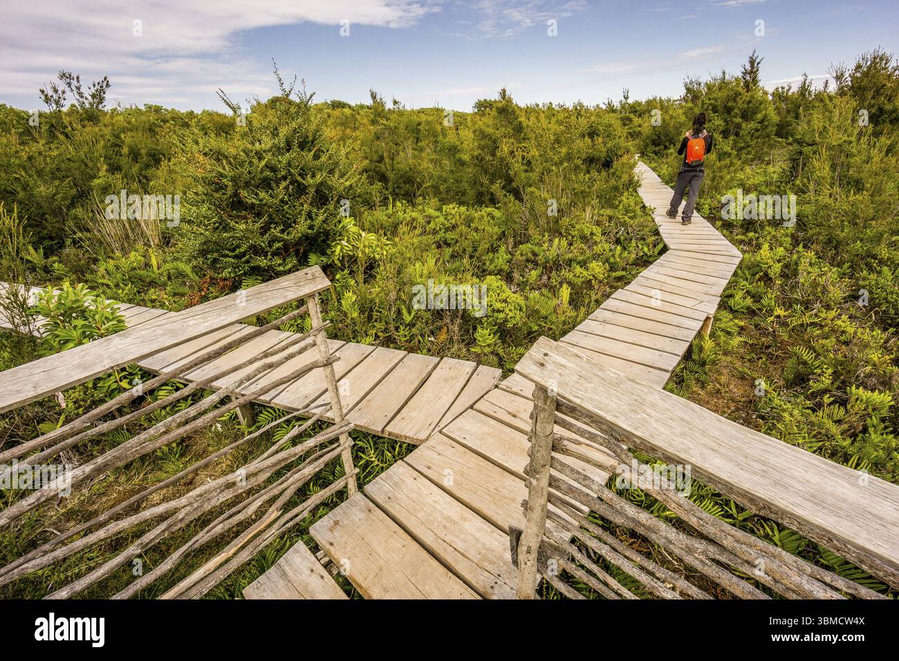 Cordillera de la costa chile hi-res stock photography and images - Alamy