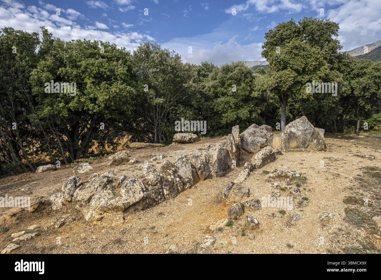 Dolmen de Los Llanos, Neolithic, Kripan, Alava, Basque Country, Spain ...