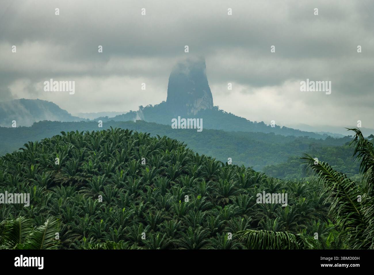 The needlepoint volcanic plug that is Pico Cao Grande, shrouded in mist ...