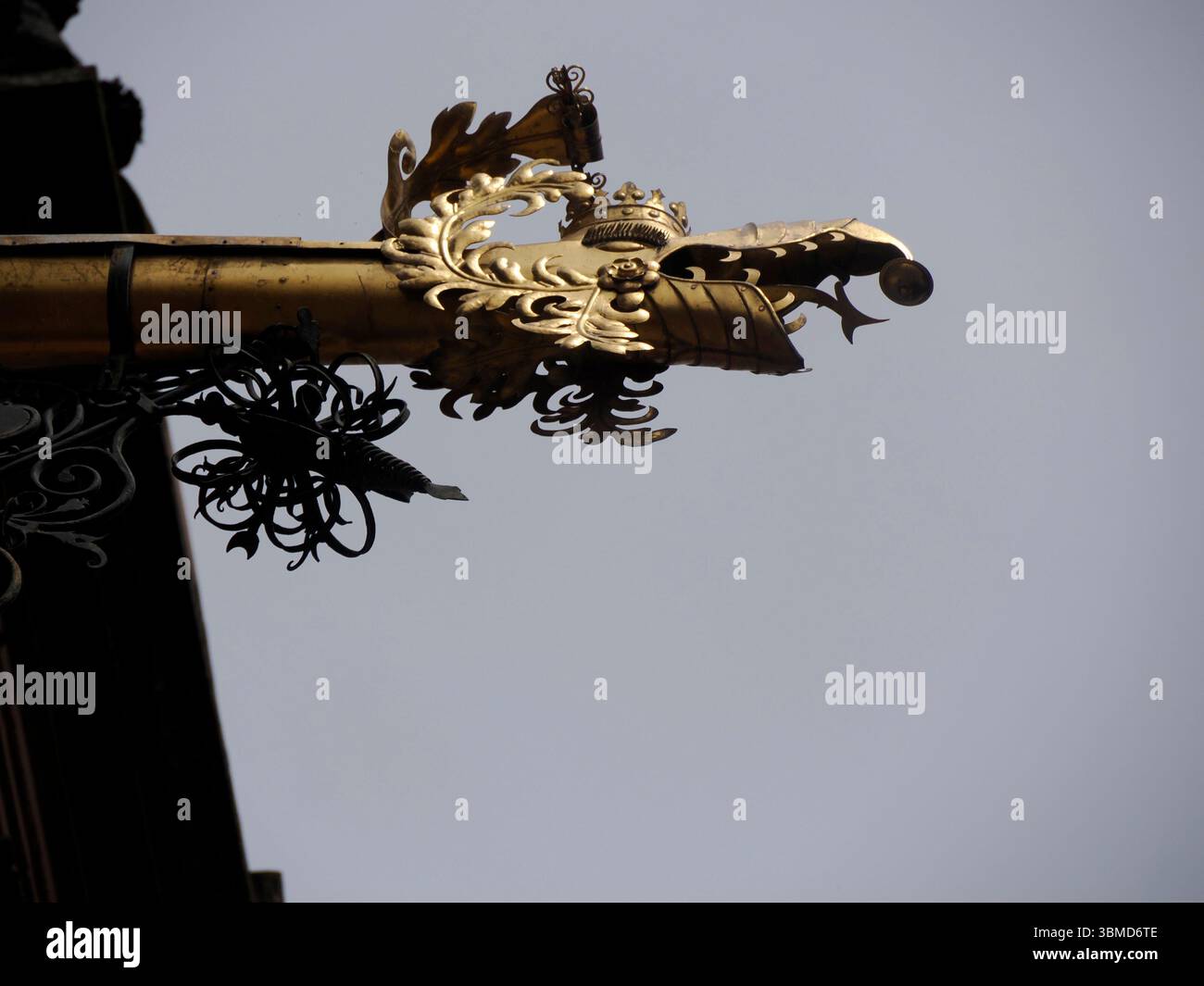 Detail gutter of Ancient Heidelberg medieval castle in Germany Stock ...