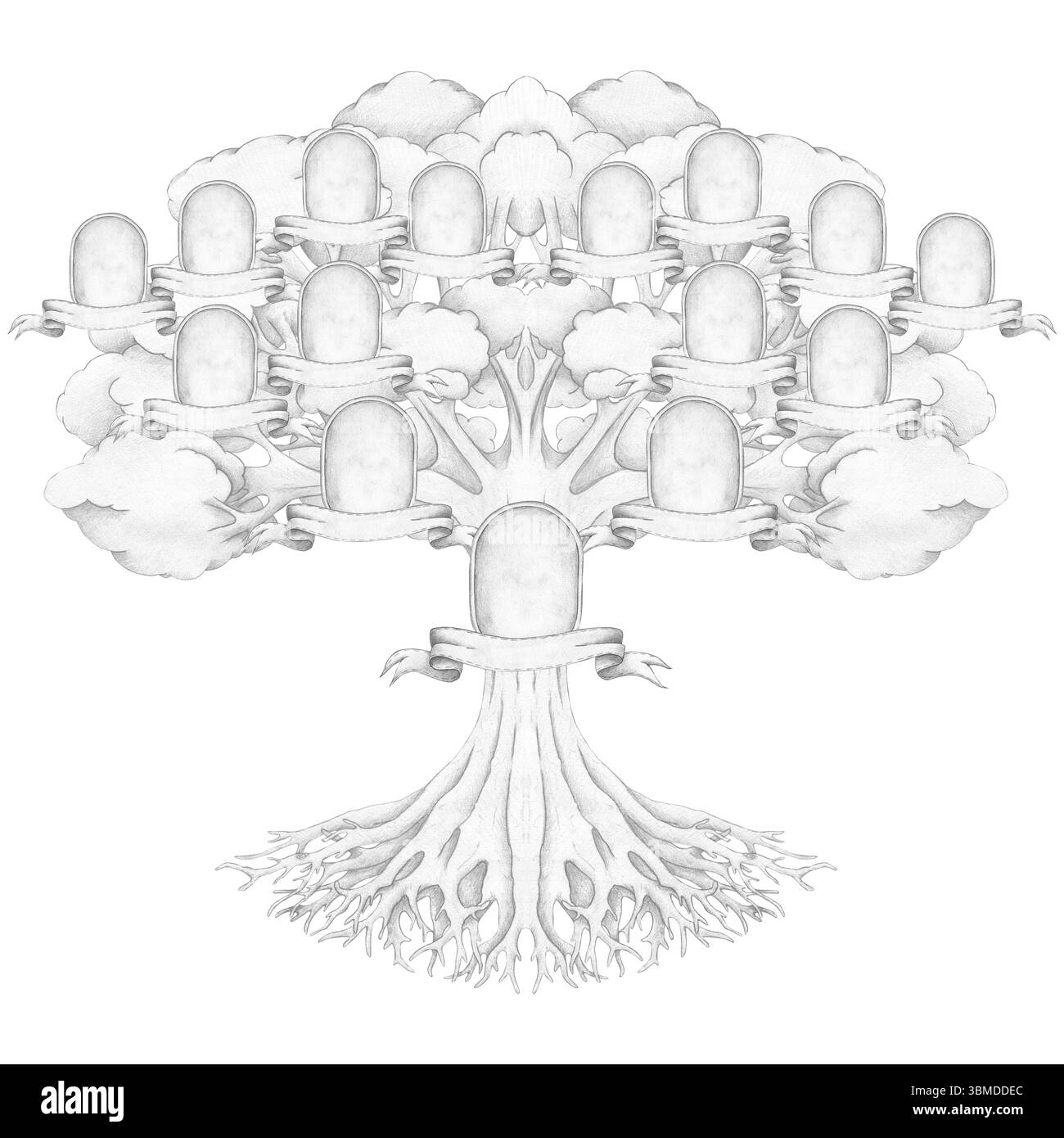 A large oak tree with roots, a family tree template with a place for ...