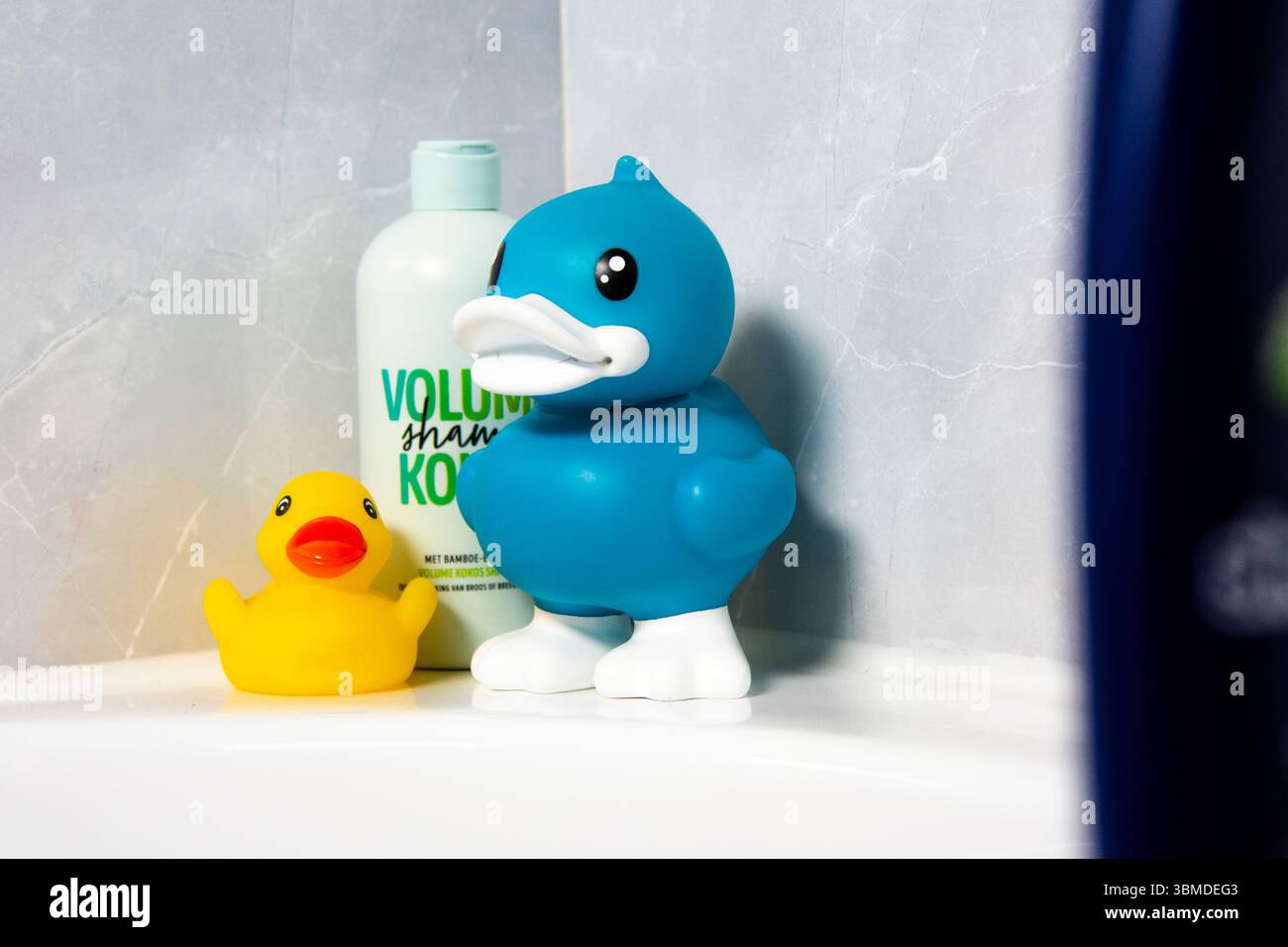 Two vibrant rubber ducks, one large blue and one small yellow, stand ...