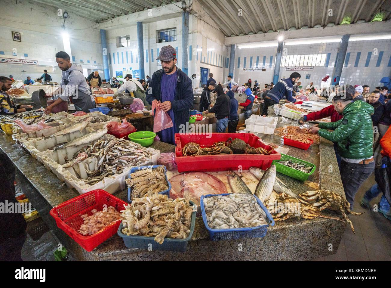 Covered fish market of the souk, souk market, Tangier, Morocco, North Africa, Africa Stock Photo ...