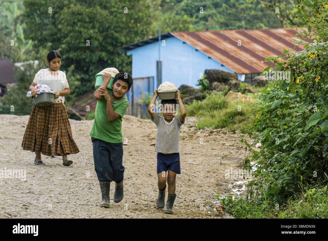 Loading ground corn, Los Cerritos, Lancetillo, La Parroquia, Reyna area ...