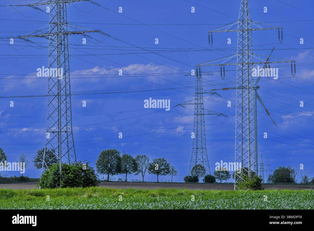 Power pylons with high-voltage lines on the K63 road with trees at the ...