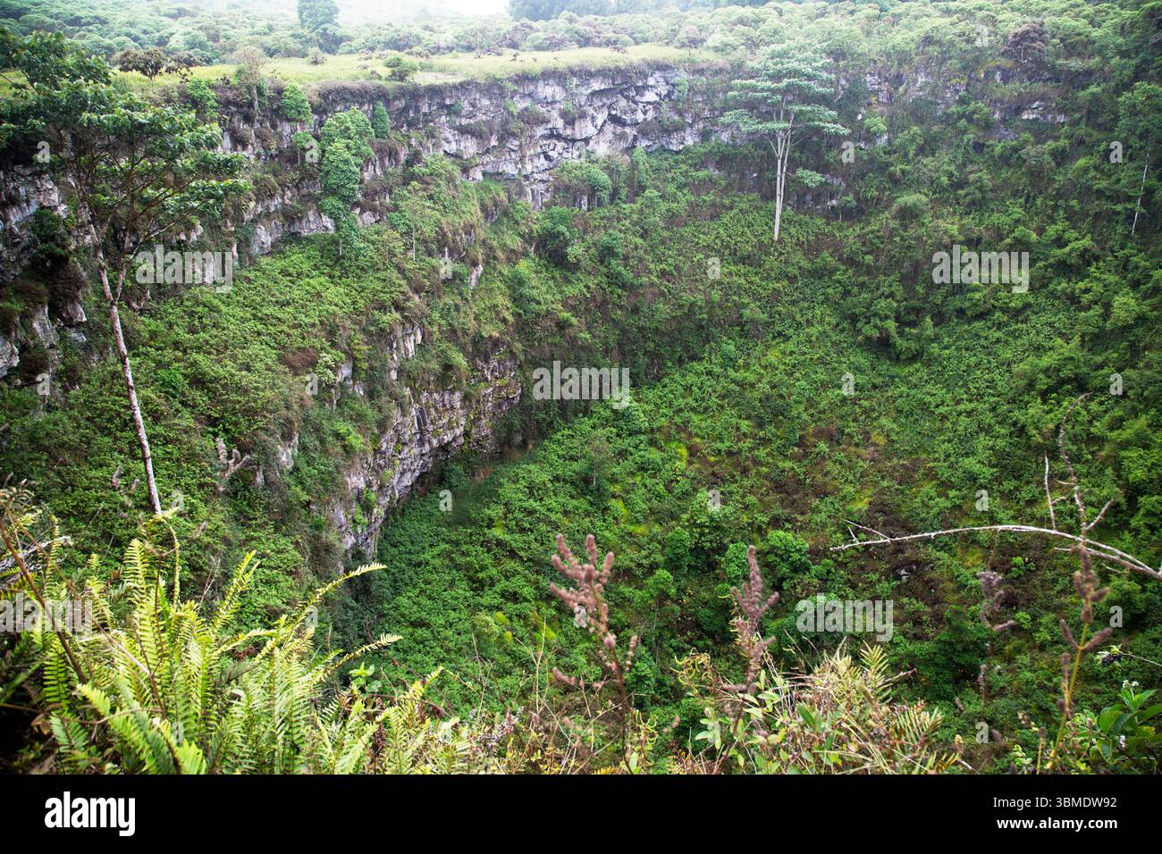 Los Gemelos Lava Tubes (Twin Craters) Sink Hole, Santa Cruz Island.The ...